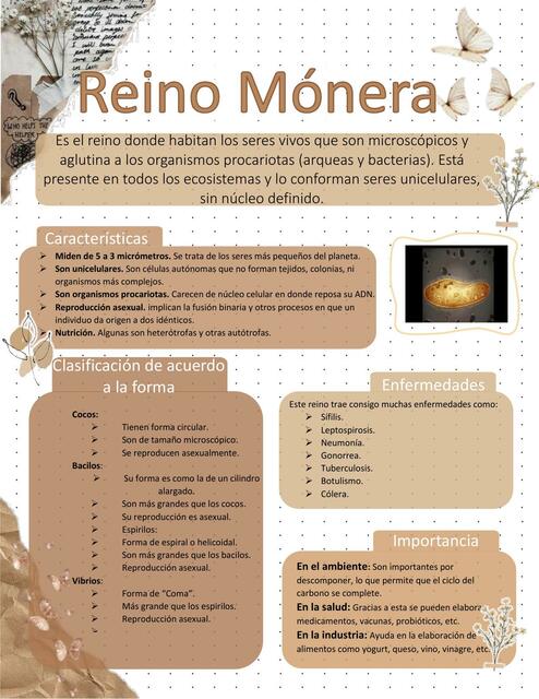 Infografía del reino mónera para imprimir y presentar | Yakory | uDocz