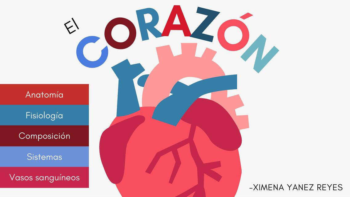 Corazón generalidades | ximena yanez | uDocz
