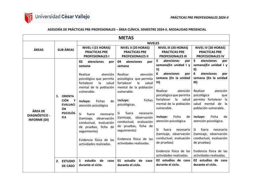 Metas Área Clínica II | SANDRA ANITA RIVAS TOCTO | uDocz