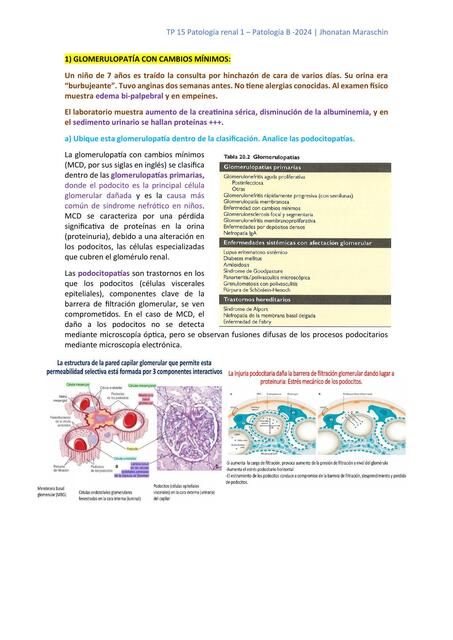 TP 15 patología renal 1 Jhonatan Maraschin | Jhonatan Maraschin | uDocz