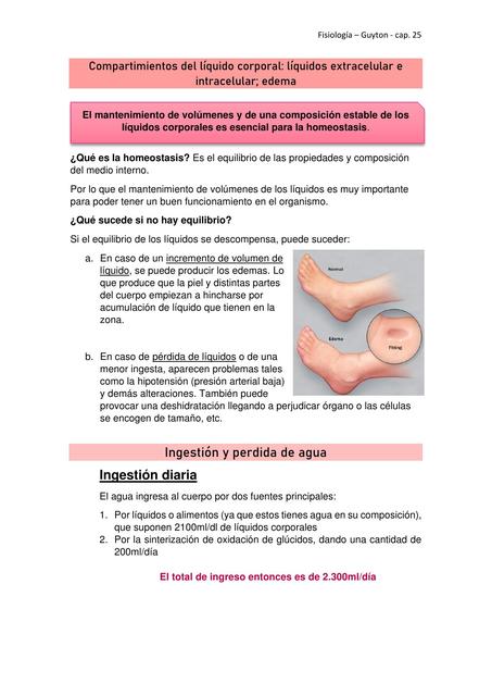 Compartimientos del líquido corporal - Resumen | Fisiología | Guyton ... Compartimientos del líquido corporal - Resumen | Fisiología | Guyton ...