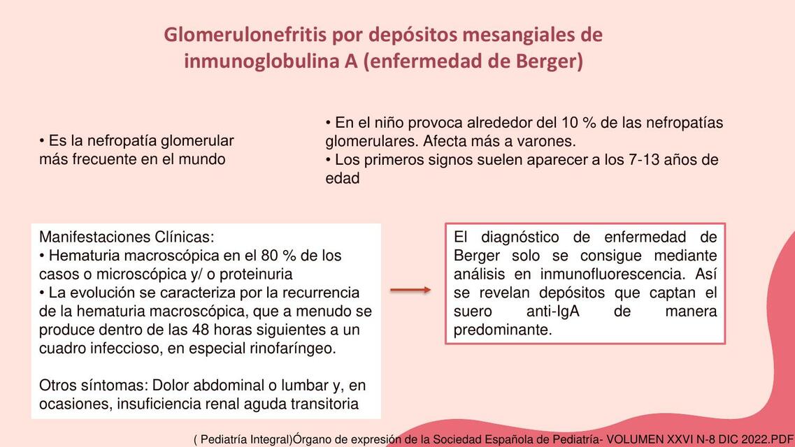 Síndrome Nefrítico Enfermedad de Berger | Medicina Óptima | uDocz