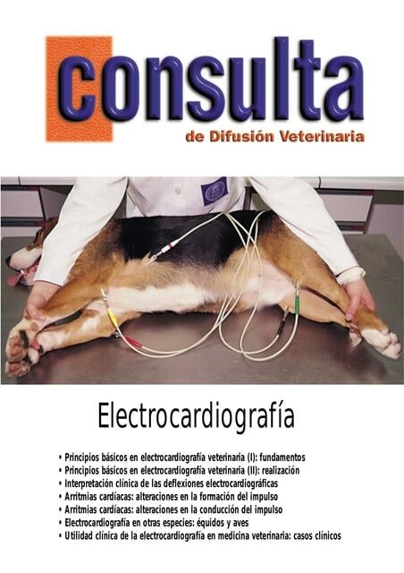 ECG. Electrocardiograma veterinaria | MX1 | uDocz