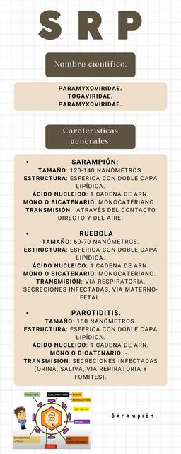 Srp | Celeste Med | uDocz