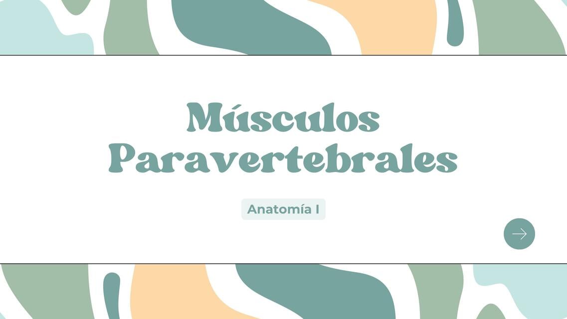 Músculos Paravertebrales | aroman05 | uDocz