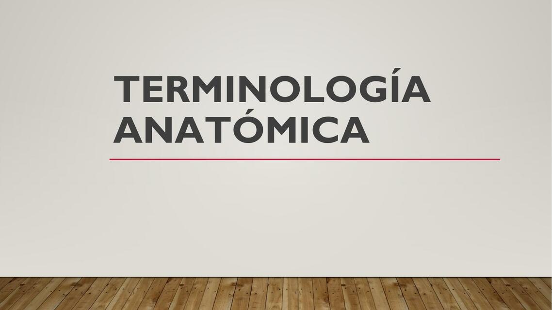 TERMINOLOGiA ANATÓMICA | Citlaly | uDocz