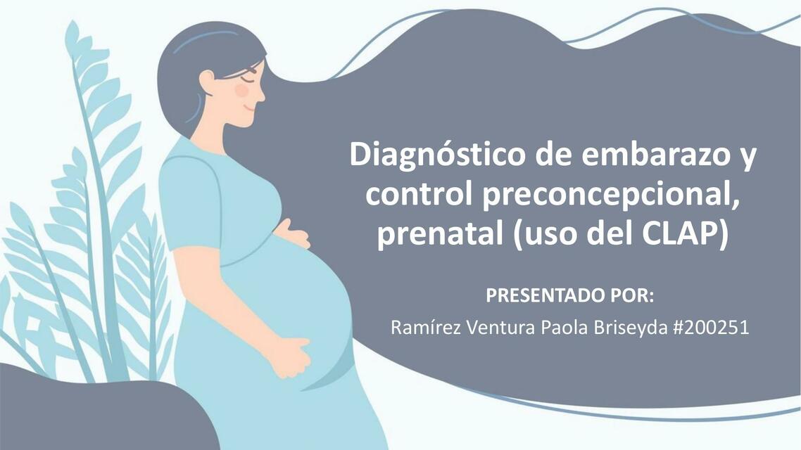 Diagnóstico de embarazo y control preconcepcional | Briseyda V3NTUR4 ...