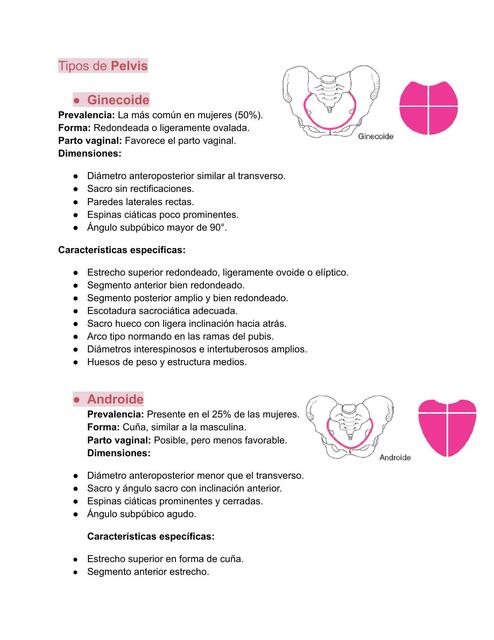 Tipos de Pelvis | F.altherz07 | uDocz