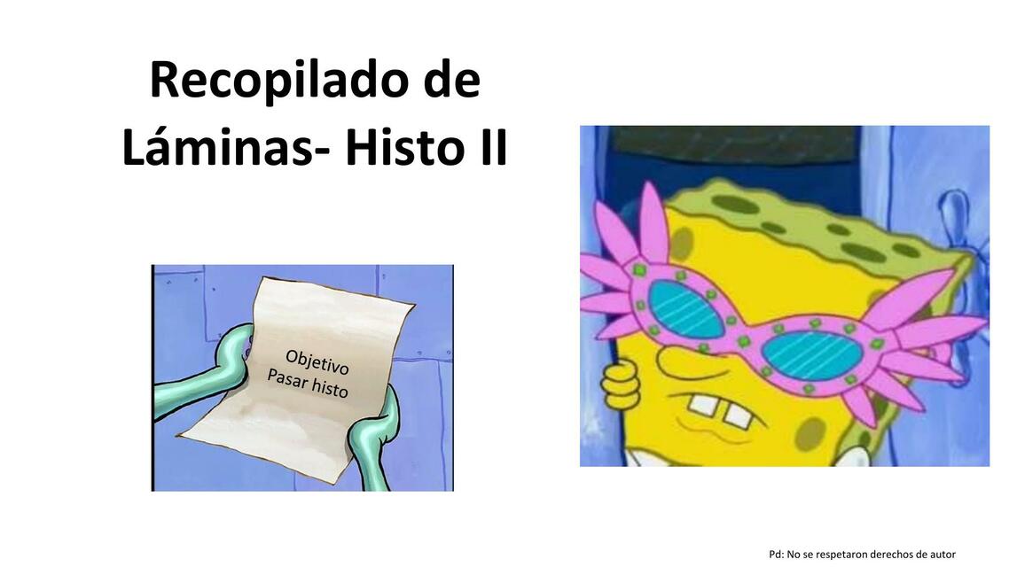 RECOPI LÁMINAS HISTO II AF | Solchely Fleitas | uDocz