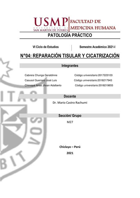 REPARACION TISULAR Y CICATRIZACION | SERTRALINA :) | uDocz REPARACION TISULAR Y CICATRIZACION | SERTRALINA :) | uDocz
