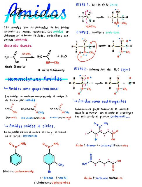 Amidas | Valentina Rodriguez | uDocz