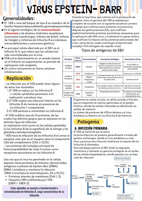 VIRUS EPSTEIN BAR (VEB) | Ale_medstudent | uDocz