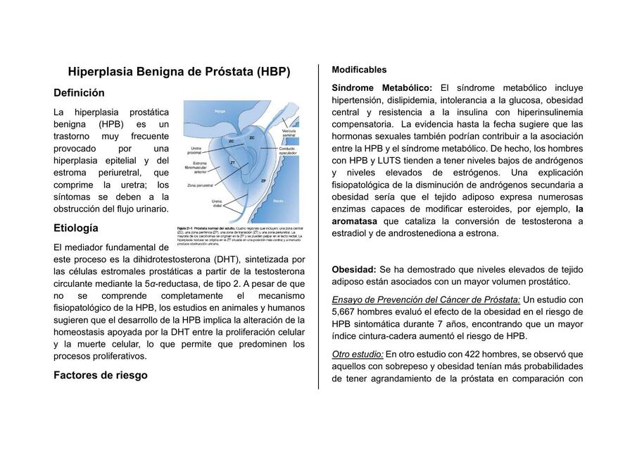 Hiperplasia Benigna de Próstata | Anna Karina Guerrero Salazar | uDocz