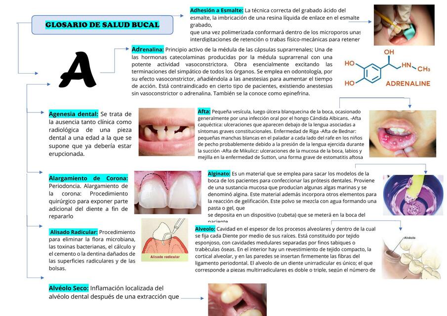 GLOSARIO A2 | Emily | uDocz
