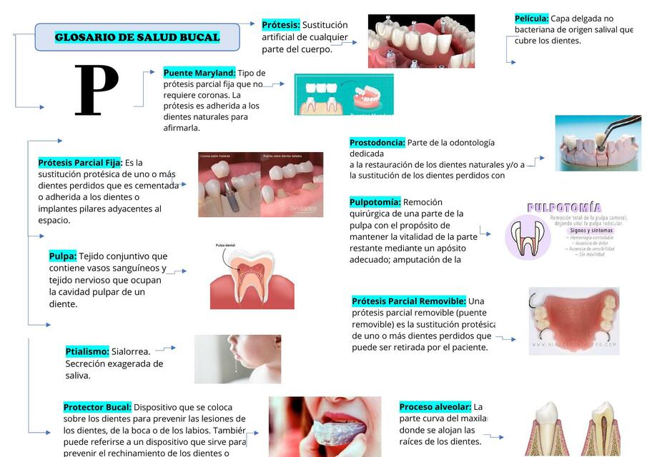 GLOSARIO P2 | Emily | uDocz