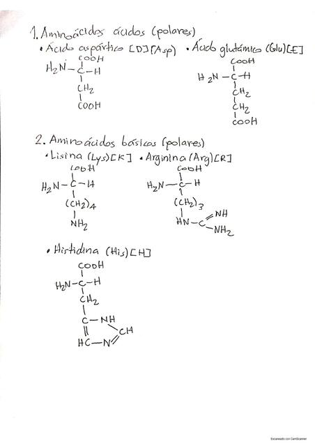 cartel de aminoácidos | GHALI OLIVEIRA GUTIERREZ MERIDA | uDocz