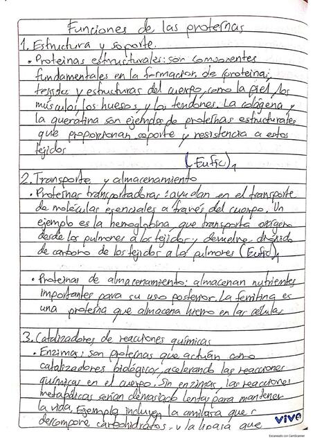 Funciones de las proteínas | GHALI OLIVEIRA GUTIERREZ MERIDA | uDocz