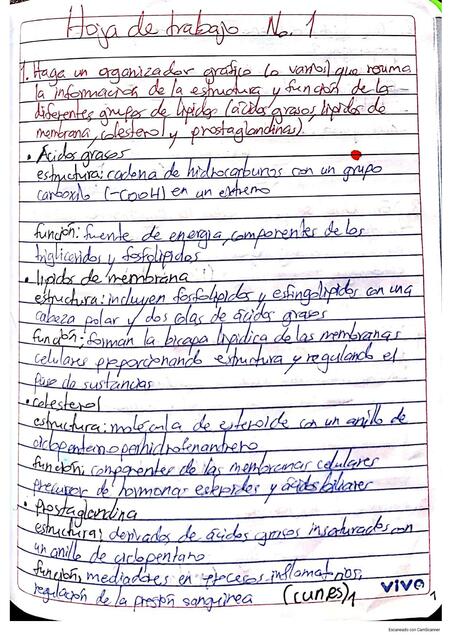 Hoja de trabajo 1 bioquímica 2 | GHALI OLIVEIRA GUTIERREZ MERIDA | uDocz