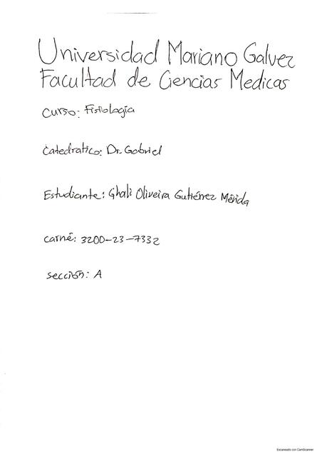 Semana 9 fisiología | GHALI OLIVEIRA GUTIERREZ MERIDA | uDocz