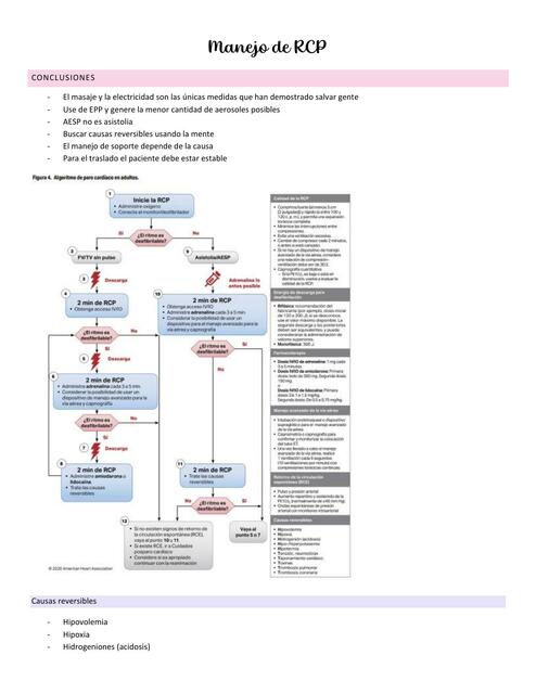 1 Manejo de RCP | Fernanda | uDocz