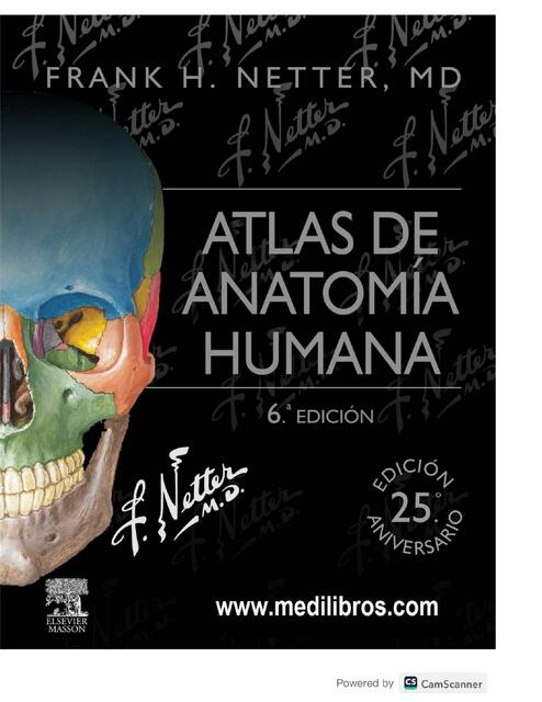 Atlas de anatomía de Netter | Eilen Karim Parra | uDocz