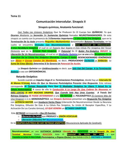 Tema 11 sinapsis 2 | Carlos Daniel Cárdenas Santos | uDocz