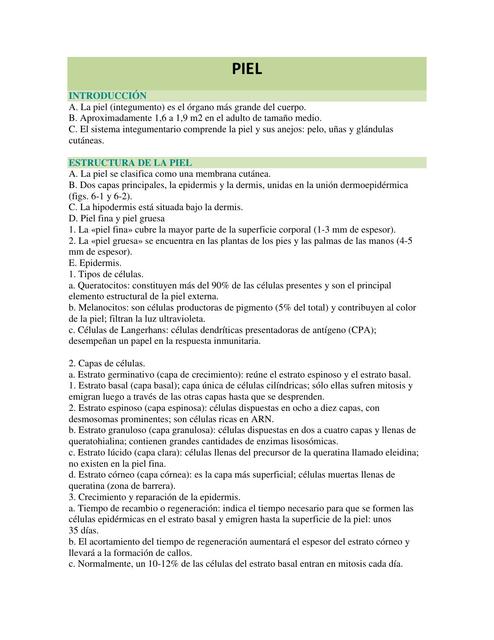 PIEL | Agustina | uDocz