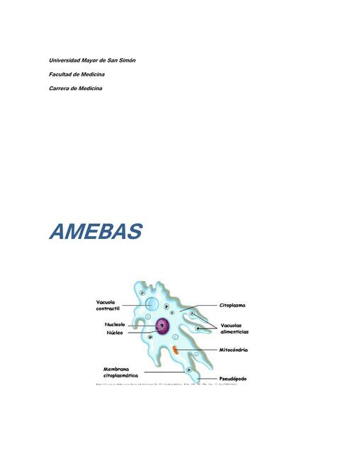amebas completo | Josue | uDocz