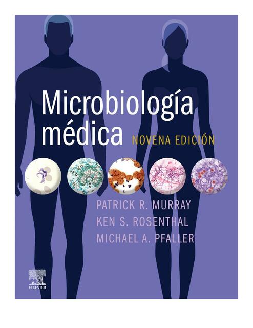 Microbiologia Medica Murray 9a Edicion | Itzel Escobar Martinez | uDocz