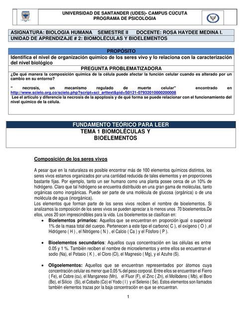 TALLER 2 | Sofia | uDocz