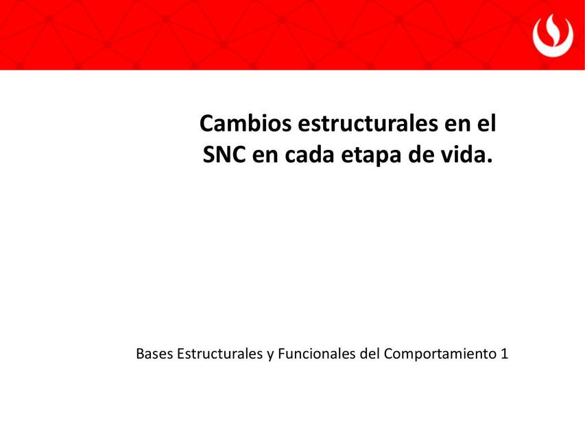 PPT sesion 6 2 | Abigail | uDocz