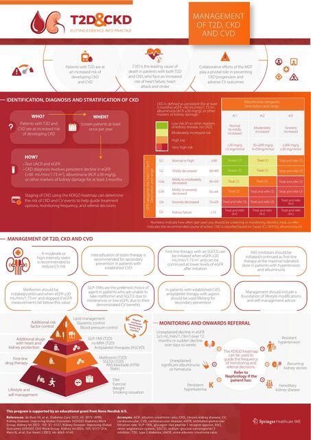 Nikolaus Management of T2D CKD and CVD v3 | E | uDocz