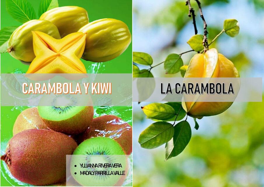 madaly kiwi | Emily | uDocz