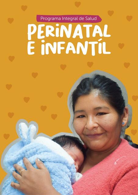 Guía Programa Integral de Salud Perinatal e Infant | Romina Leañez | uDocz