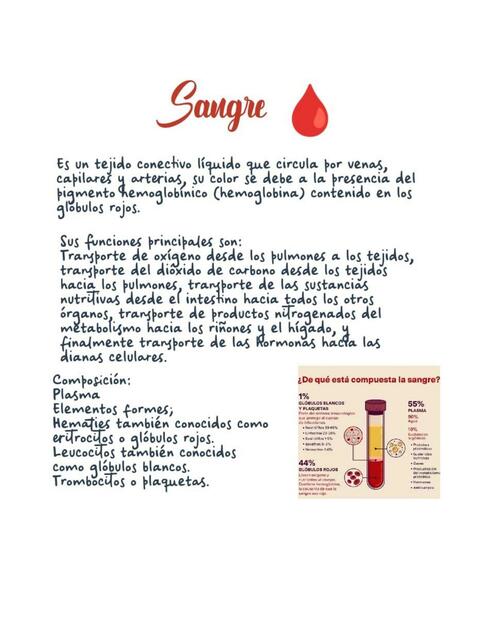 Sangre | Maria | uDocz