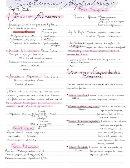 Sistema Respiratório | Shamyra Dib | uDocz