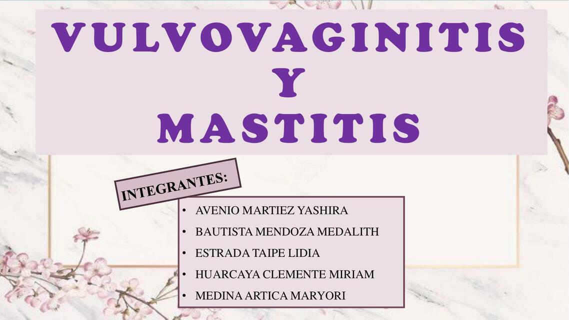 VULVOVAGINITIS Y MASTITIS 2 | MARYORI KAREN MEDINA ARTICA | uDocz