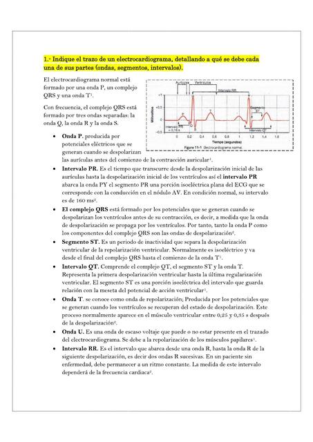 Electrocardiograma | Mikagi88 | uDocz
