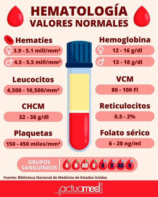 IMG | Brenda | uDocz