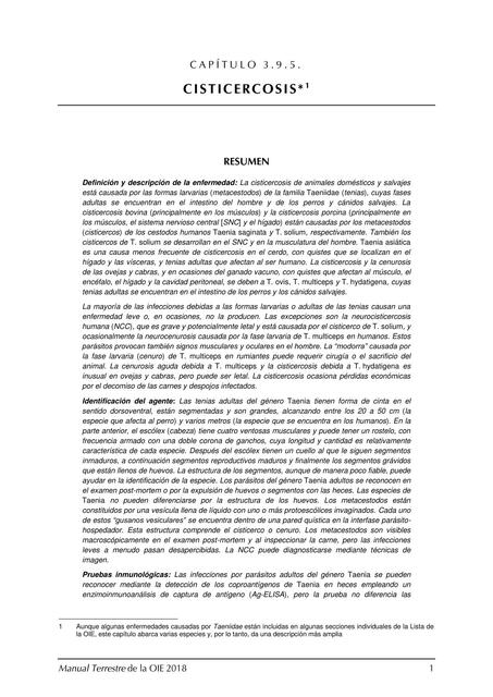 Cisticercosis 1 | kevin argueta | uDocz