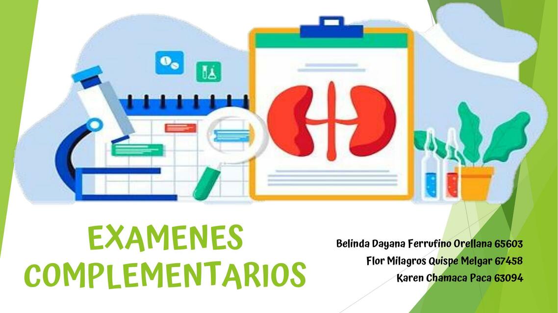 EXAMENES COMPLEMENTARIOS RENALES | Belinda Dayana Ferrufino | uDocz