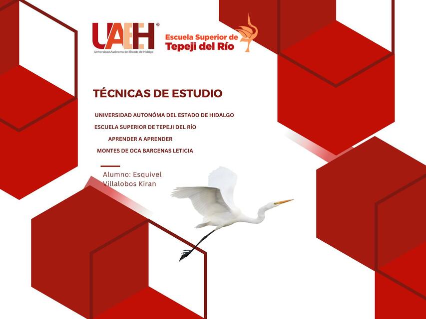 TECNICAS DE ESTUDIO | KIRAN | uDocz