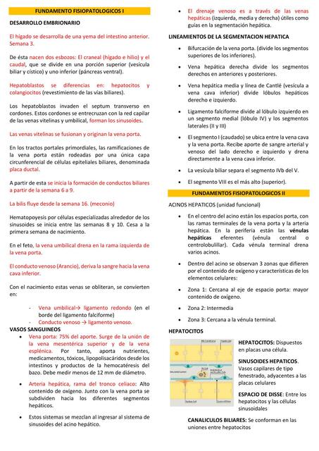 FUNDAMENTOS FISIOPATOLOGICOS | A. Cardenas | uDocz