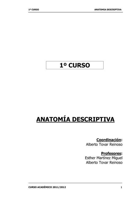 ANATOMIA DESCRIPTIVA 11 12 | Mariana | uDocz