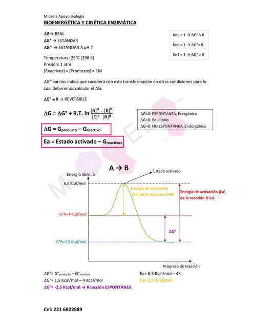 o 1hdujokphgqf1sn21ljh1tt51t98c | Mm | uDocz