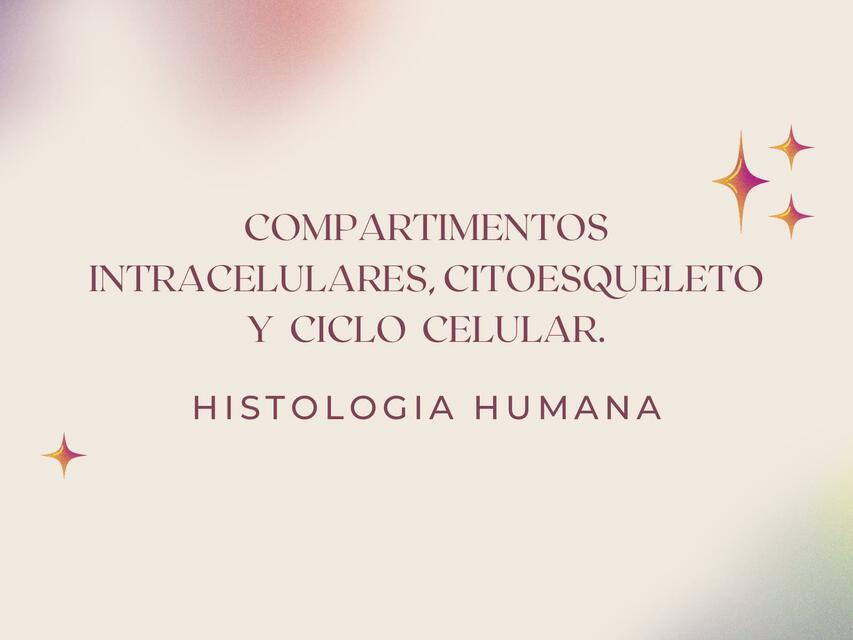 COMPARTIMENTOS INTRACELULARES, CITOESQUELETO Y CICLO CELULAR. | Beatriz ...