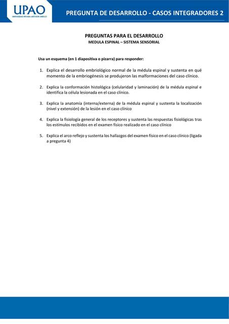 1PC MEDULA ESPINAL | Omar | uDocz