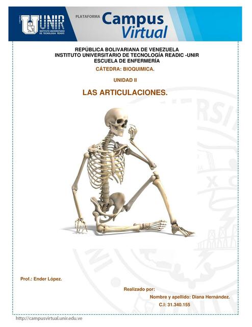 articulaciones | uDocz