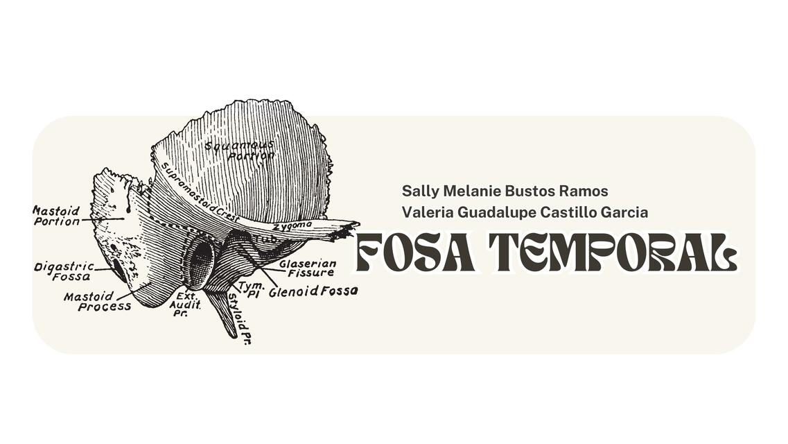 FOSA TEMPORAL | SALLY MELANIE | uDocz