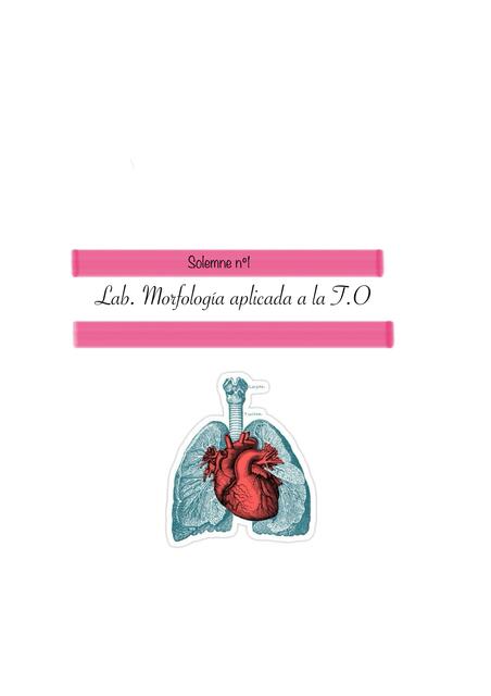 Lab morfo | Maria Cristina | uDocz